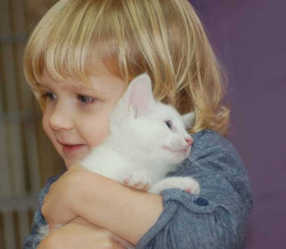 Foster - Moore Humane Society