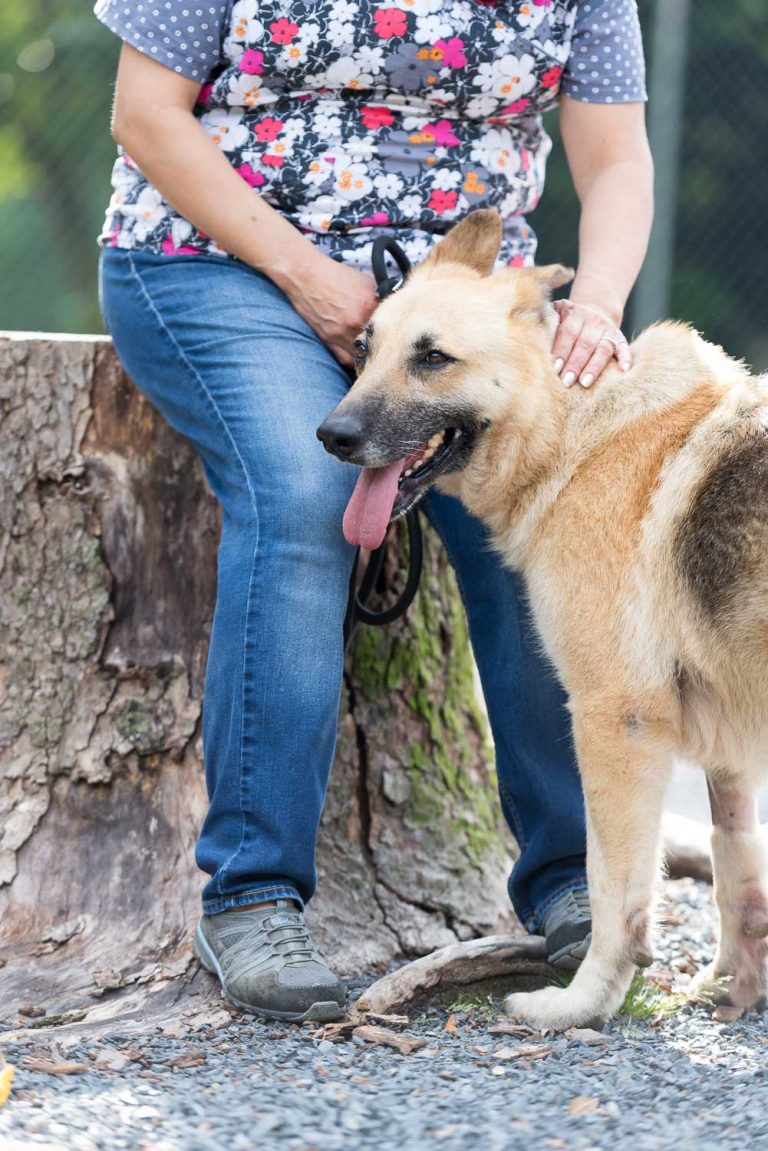 Our Mission - Moore Humane Society